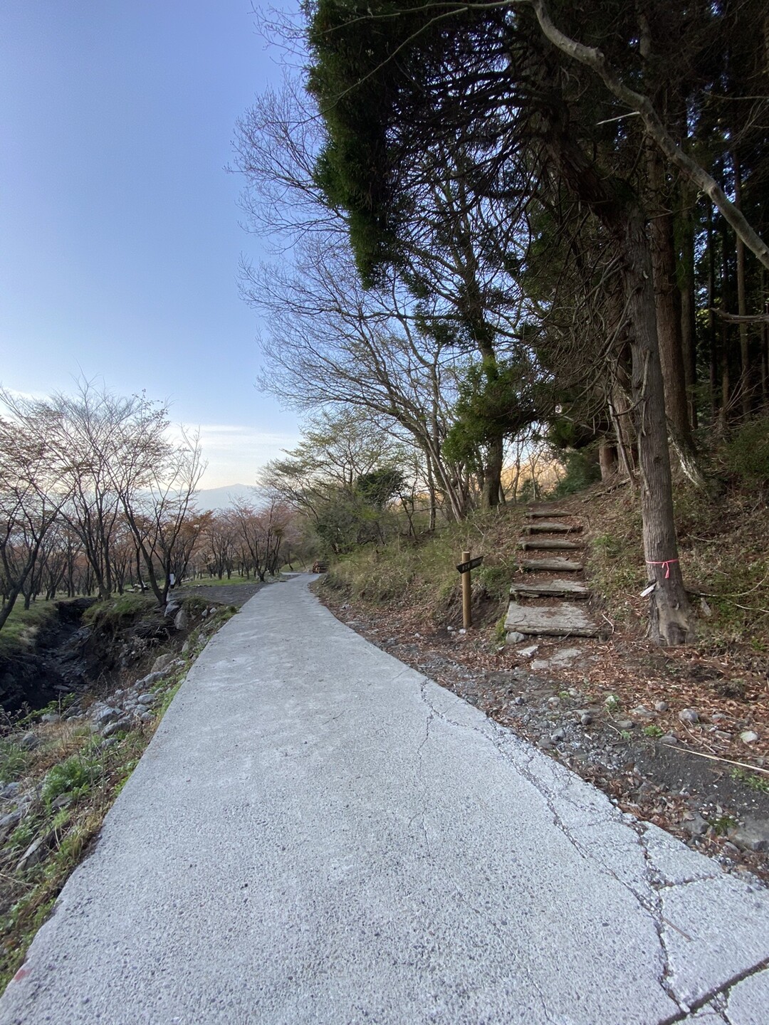 mamaさんの投稿したフィールドメモ | YAMAP / ヤマップ