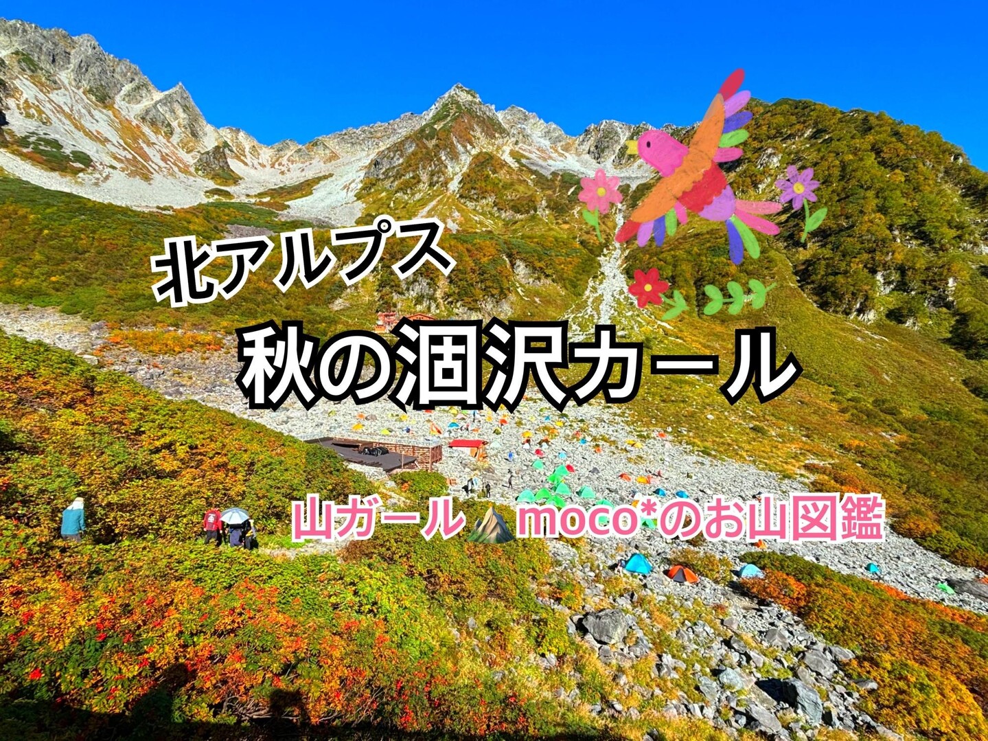 【素敵な思い出箱 またまた増えました💕... / moco*さんのモーメント | YAMAP / ヤマップ