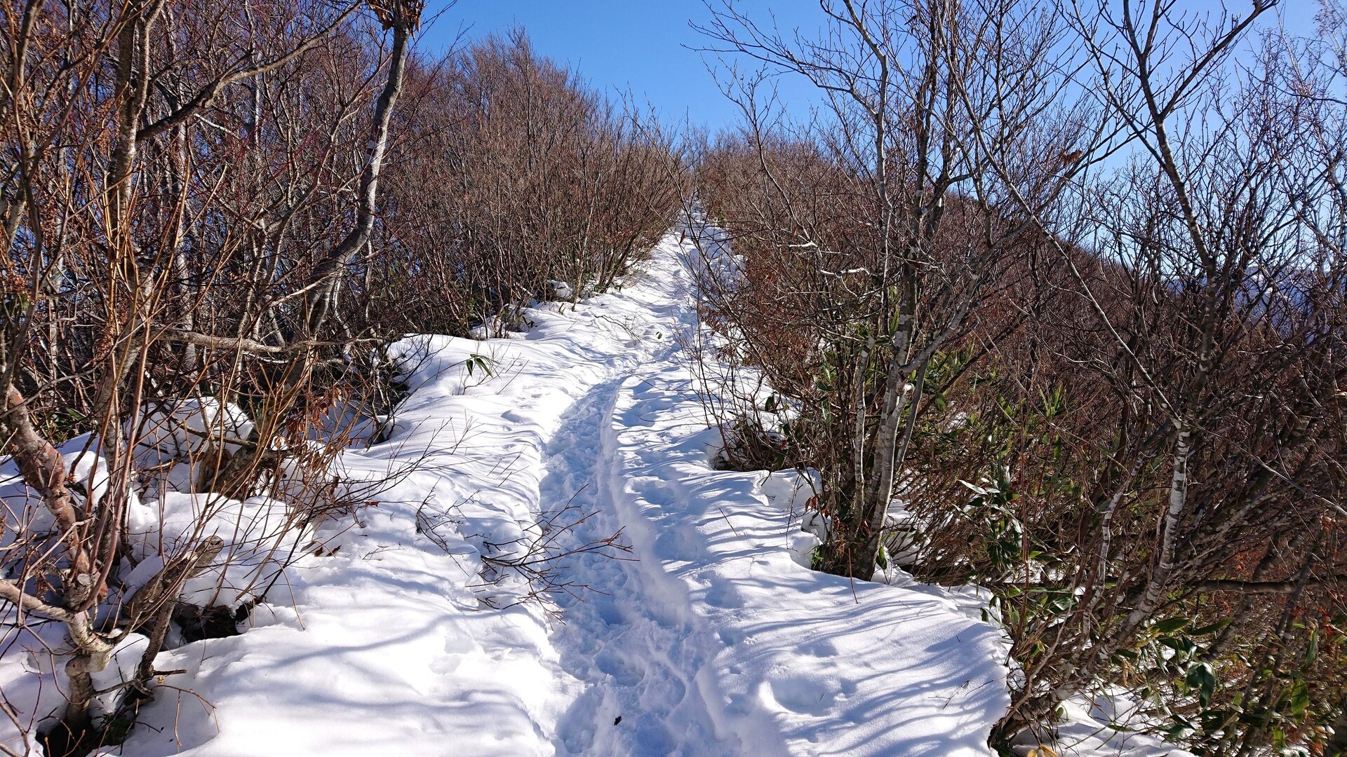 取立山 / Housaさんの取立山の活動データ | YAMAP / ヤマップ