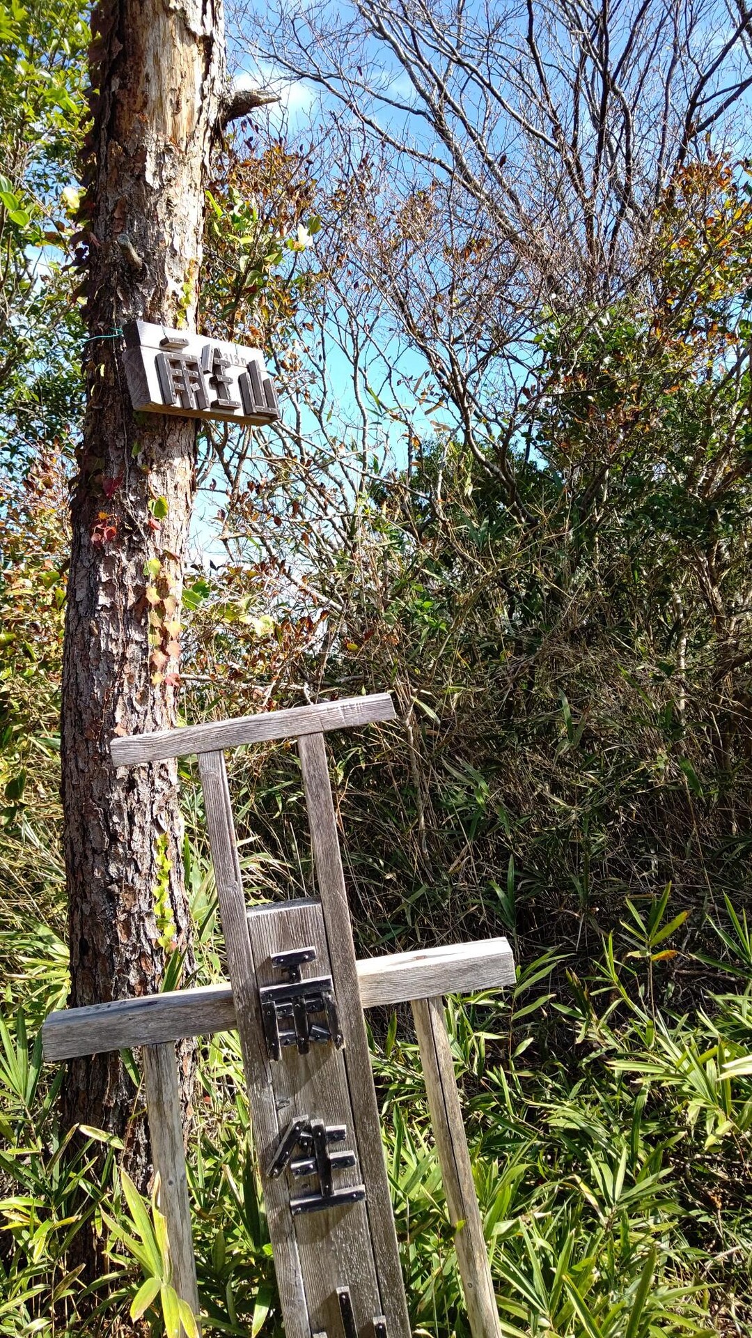 山野草に会いに雨生山・金山へ周回 / guriko5さんの雨生山・金山の活動データ | YAMAP / ヤマップ