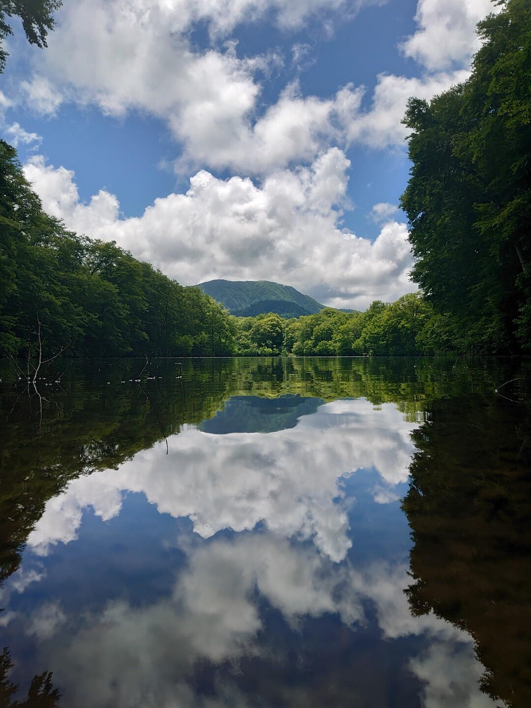 鎌池散策 / ムネ‐chiさんの雨飾山・大渚山・天狗原山・戸倉山の活動データ | YAMAP / ヤマップ