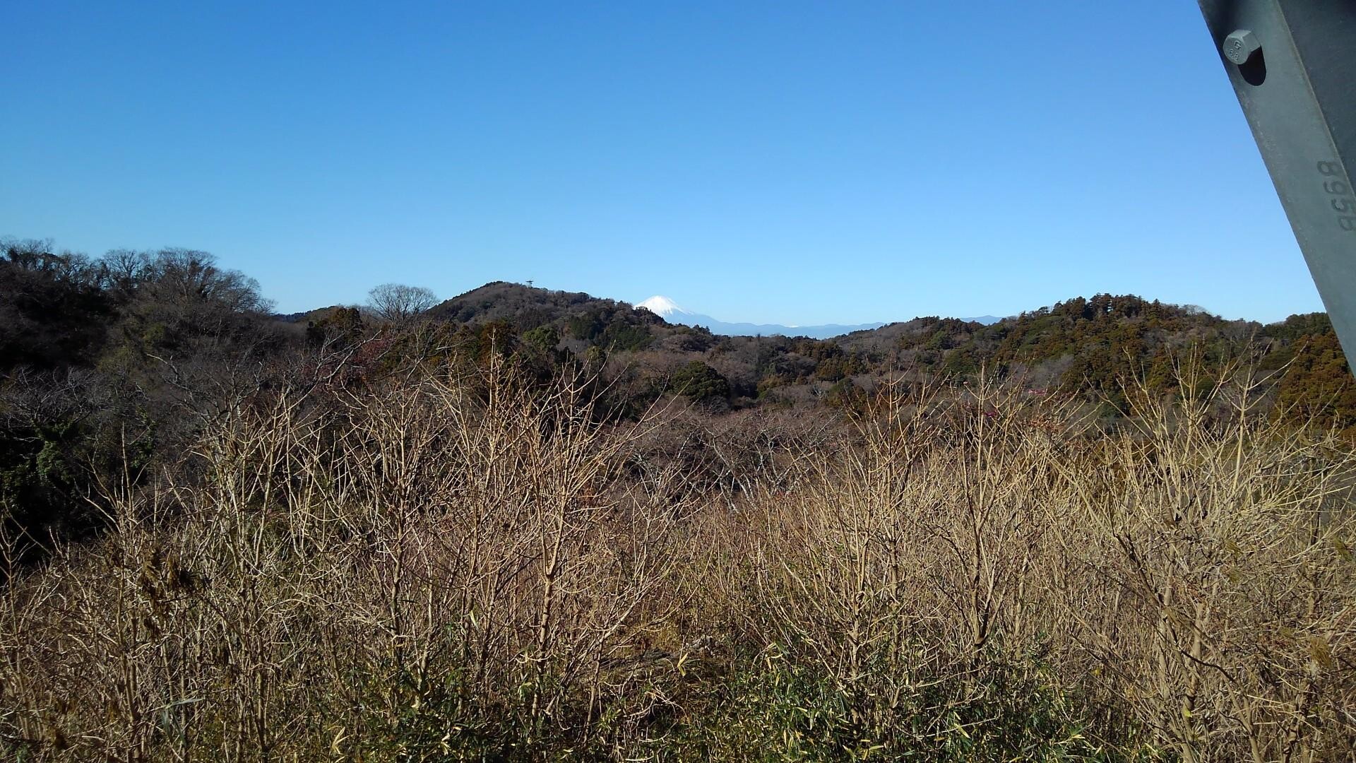 三浦北アルプス？と大楠山 / URJさんの三浦アルプス・二子山・仙元山の活動データ | YAMAP / ヤマップ