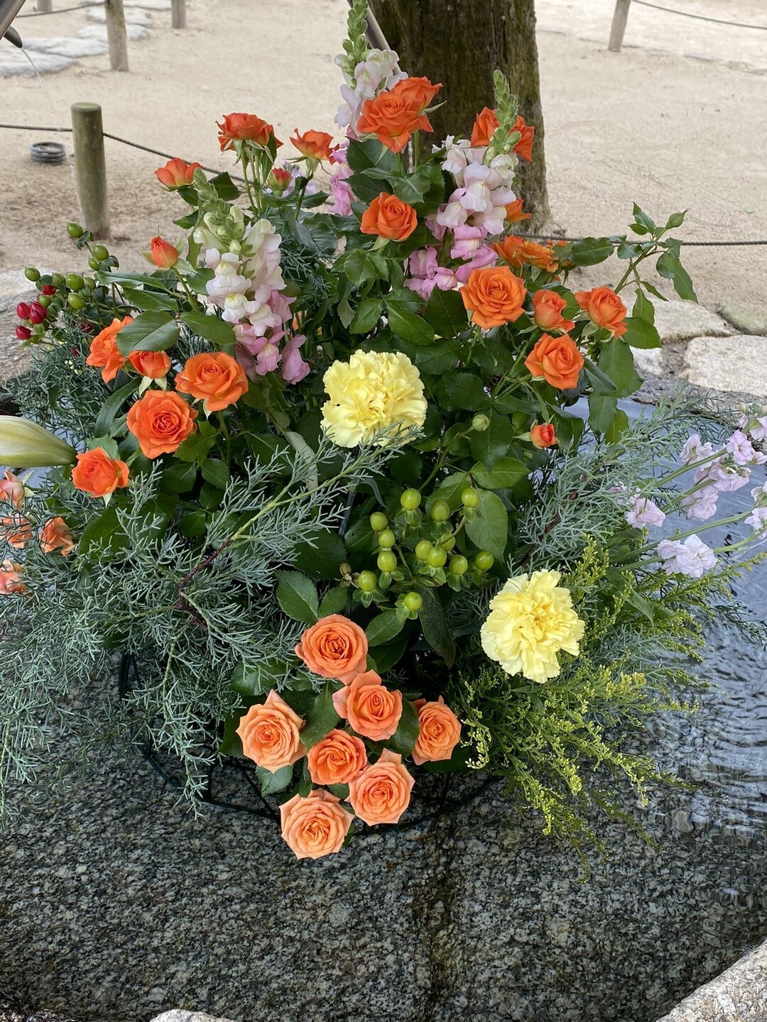 今年もありがとう⛰️ / ARままさんの宝満山・三郡山・若杉山の活動データ | YAMAP / ヤマップ