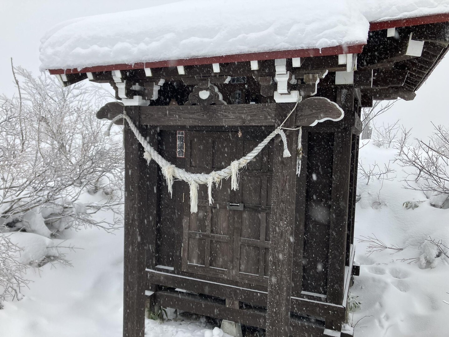 辰年の龍山 / TKMさんの蔵王山・雁戸山・不忘山の活動データ | YAMAP / ヤマップ