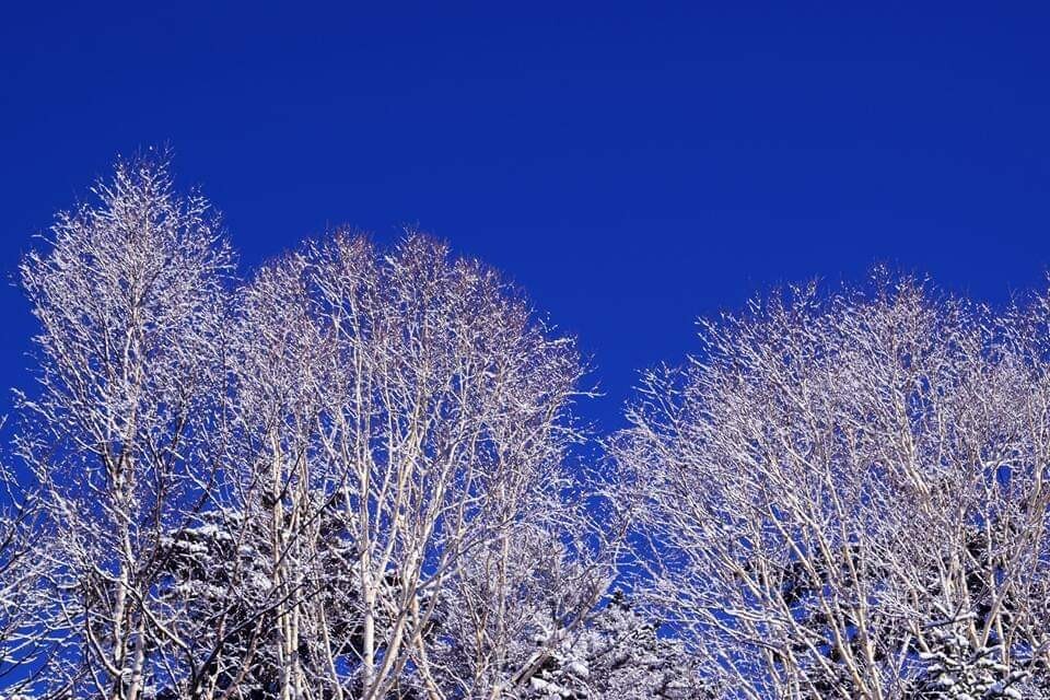 2015/12/12 オンネトー 5年... / 花さん🎵さんのモーメント | YAMAP / ヤマップ