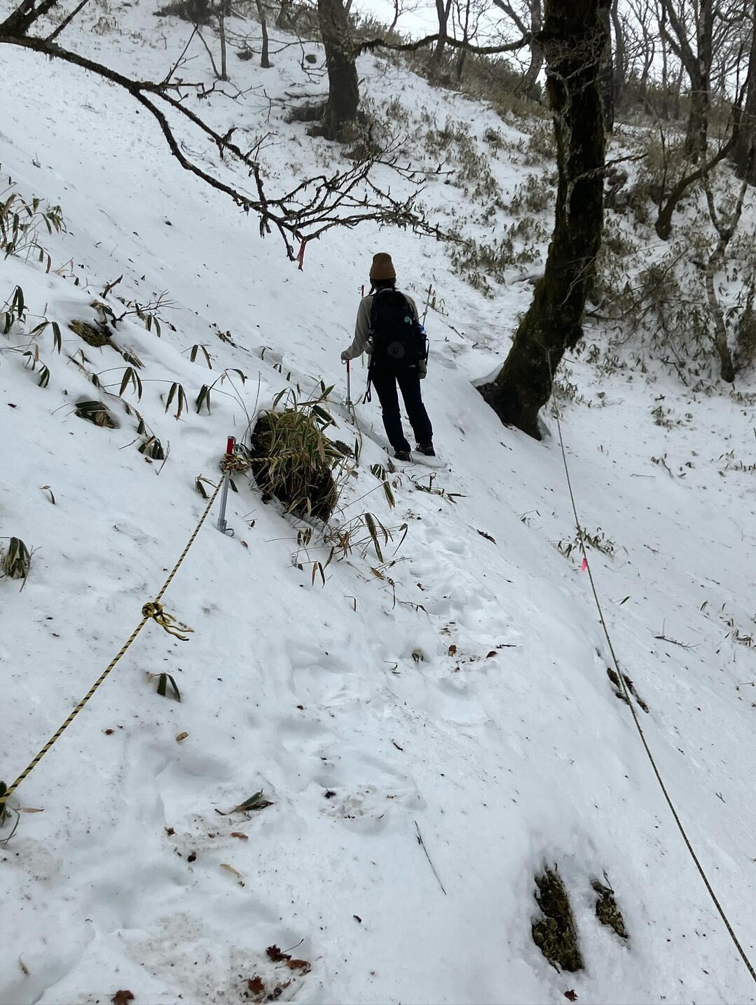 【山梨百名山】十枚山 / amuさんの十枚山の活動データ | YAMAP / ヤマップ