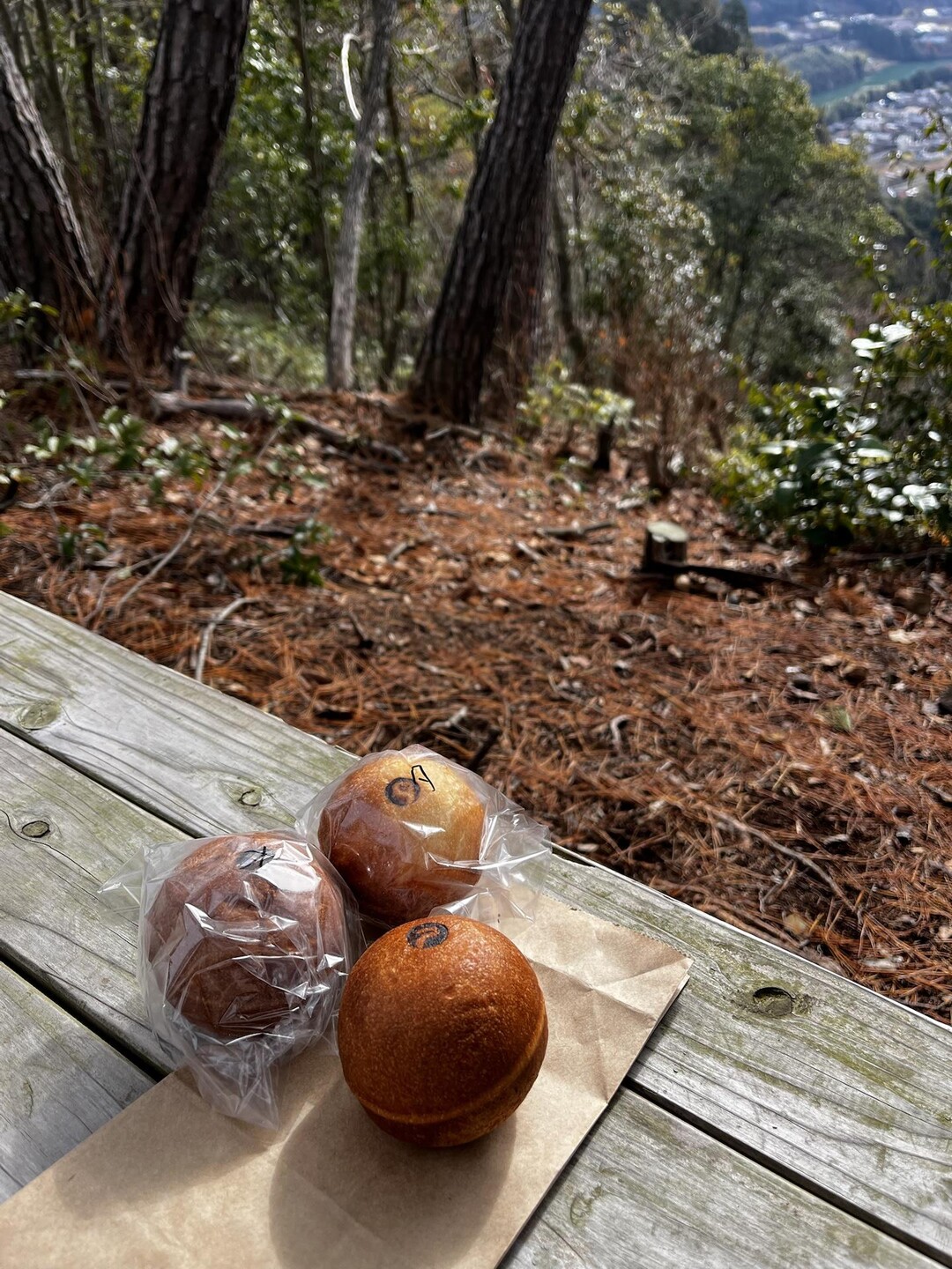 川辺町のまるパンばーば 山登りのお昼ご飯... / yuriさんのモーメント | YAMAP / ヤマップ