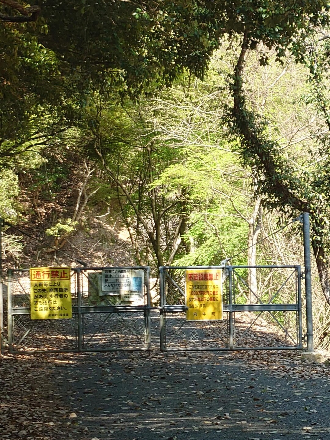 Hzさんの投稿したフィールドメモ | YAMAP / ヤマップ