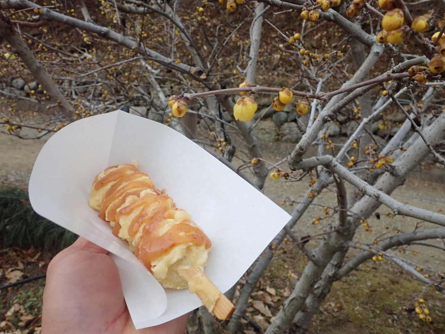 冬の長瀞アルプス・黄金スターズ （EN:野上駅、EX:長瀞駅） / にゃんにゃん♪にょんさまさんの宝登山・長瀞アルプス・不動山・陣見山・鐘撞堂山の活動データ | YAMAP / ヤマップ