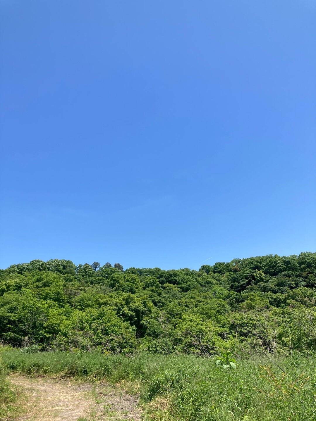 24/5/11 星田連山ピークハント① / Yusukeさんの生駒山・神津嶽・大原山の活動データ | YAMAP / ヤマップ