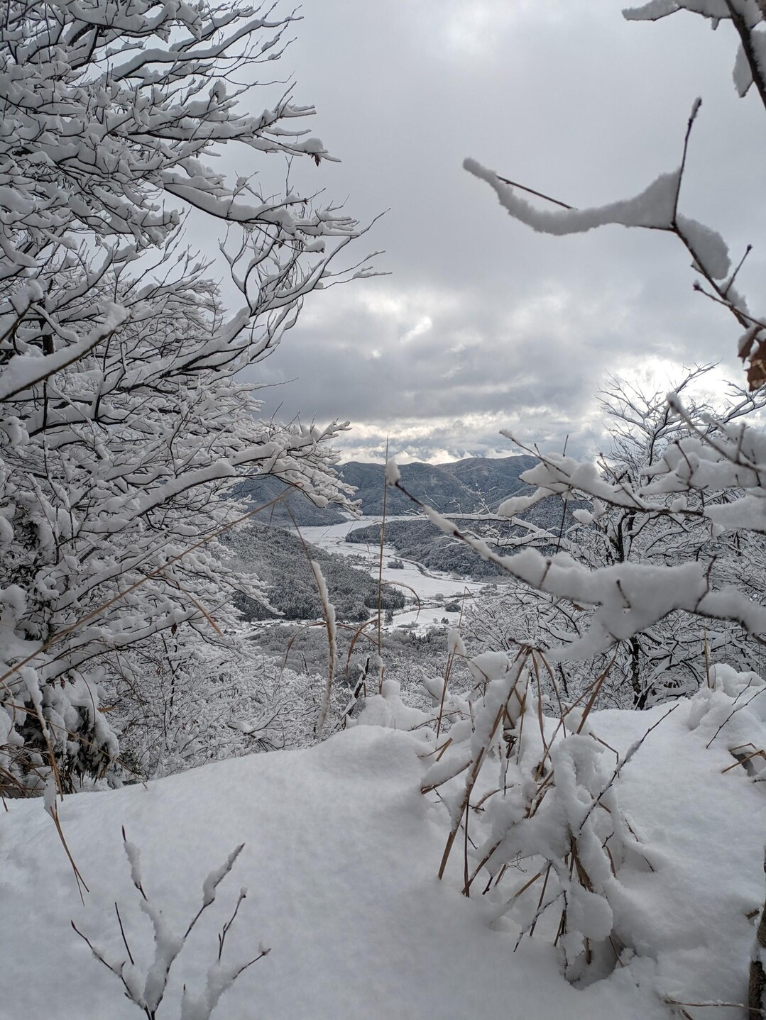 今シーズンの始まりです雪 の赤坂山 / 洛中山岳会 tomokoさんの三国山・乗鞍岳・赤坂山の活動データ | YAMAP / ヤマップ