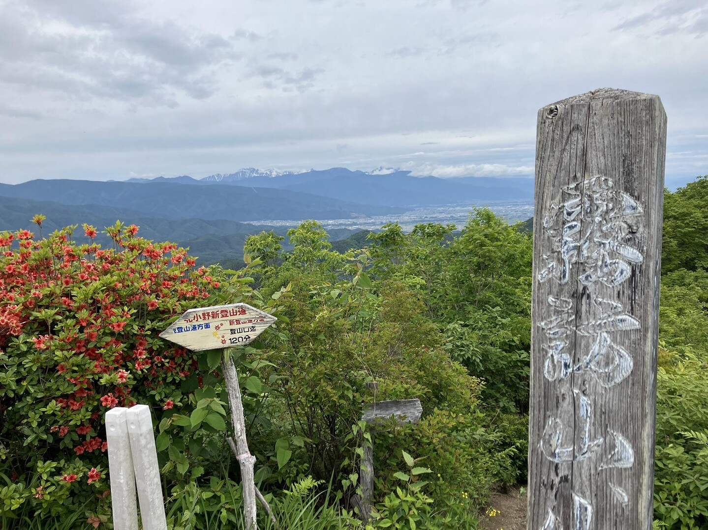 霧訪山・たきあらしの峰・大芝山・洞ヶ峰 / kaorinさんの霧訪山・大芝山・鳴雷山の活動データ | YAMAP / ヤマップ