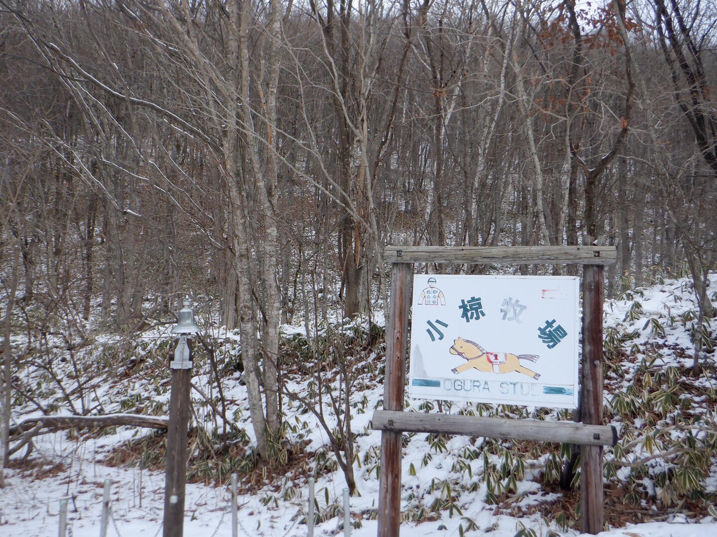 丸山（浦河町上杵臼） / sapさんの野塚岳・双子山（オムシャヌプリ）の活動データ | YAMAP / ヤマップ