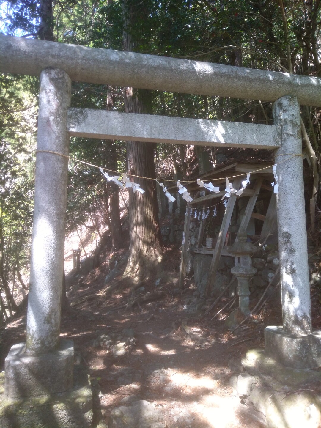 akaneさんの投稿したフィールドメモ | YAMAP / ヤマップ