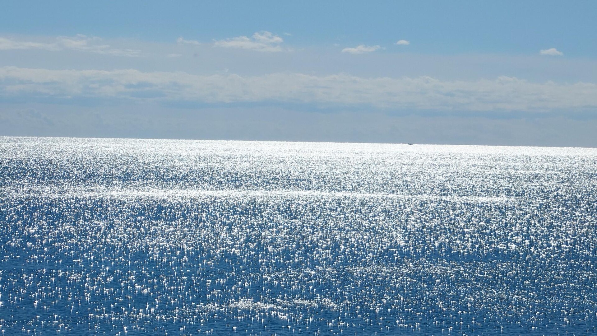 晴れた太平洋は大自然のシャンデリア ️ ... / tolucky(^^)さんのモーメント | YAMAP / ヤマップ