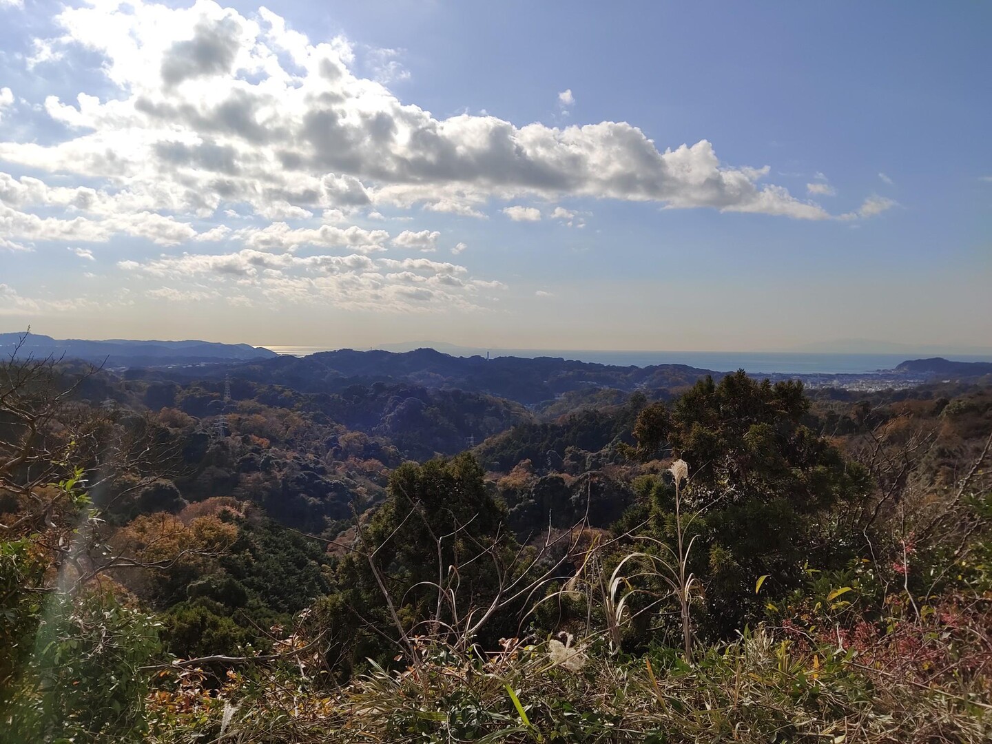 横浜市最高峰がある天園ハイキングコース / kummyさんの鎌倉アルプス（大平山・天台山）の活動データ | YAMAP / ヤマップ