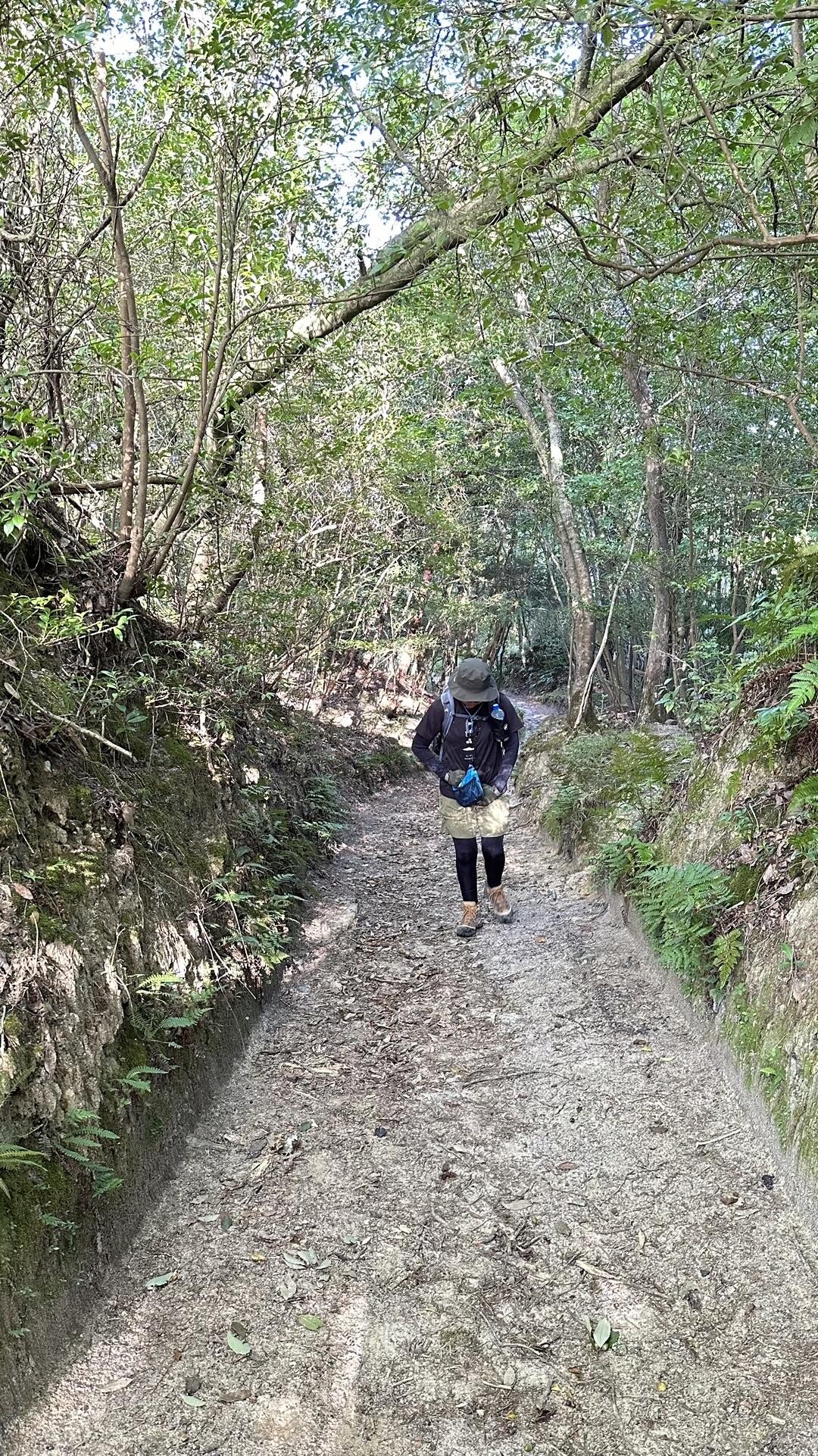 金勝アルプス（鶏冠山・竜王山）-2023-08-27 / KYOさんの金勝アルプス（鶏冠山・竜王山）の活動データ | YAMAP / ヤマップ