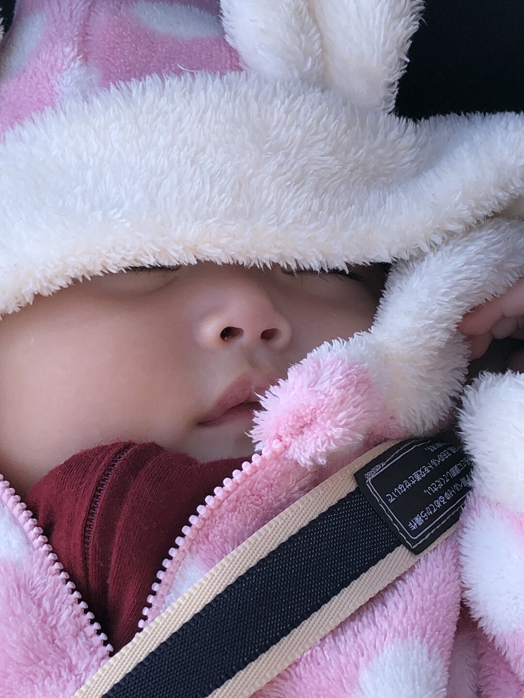 2022.1.22かわいいおさんぽ 手... / SCORE さんのモーメント | YAMAP / ヤマップ