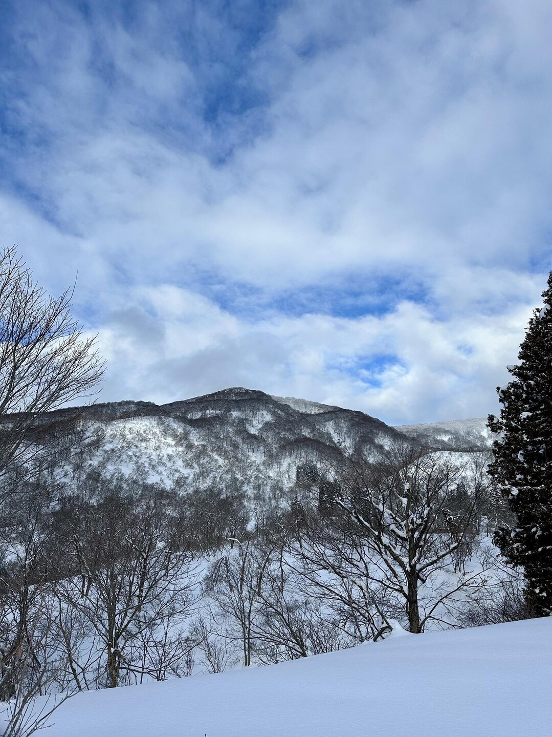 鍋倉山BC / PJさんの毛無山・黒岩山・鍋倉山・信越トレイル（赤池・希望湖・桂池・関田峠）の活動データ | YAMAP / ヤマップ