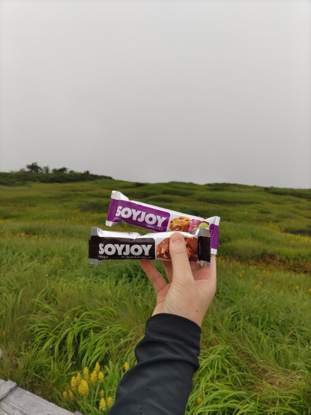 平ヶ岳で 山おやつ😋 SOYJOY ... / kayoさんのモーメント | YAMAP / ヤマップ