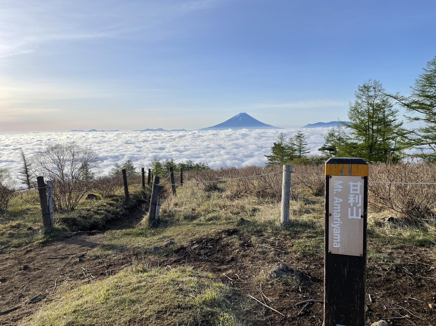 甘利山・奥甘利山・大西峰・千頭星山・小西峰 / Southさんの鳳凰山・地蔵岳・観音岳・薬師岳の活動データ | YAMAP / ヤマップ