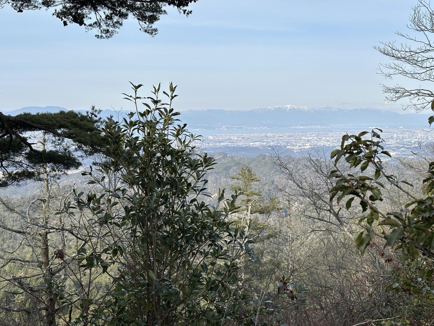 矢筈ヶ岳 / MasaKINGさんの湖南アルプス（太神山・堂山）の活動データ | YAMAP / ヤマップ