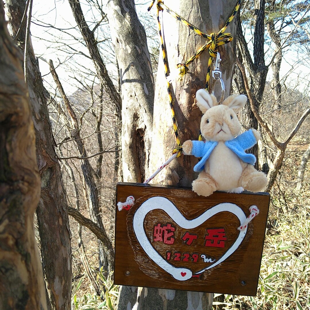 榛名富士・蛇ヶ岳 / charmy-rabbitさんの榛名山・天狗山・天目山の活動データ | YAMAP / ヤマップ