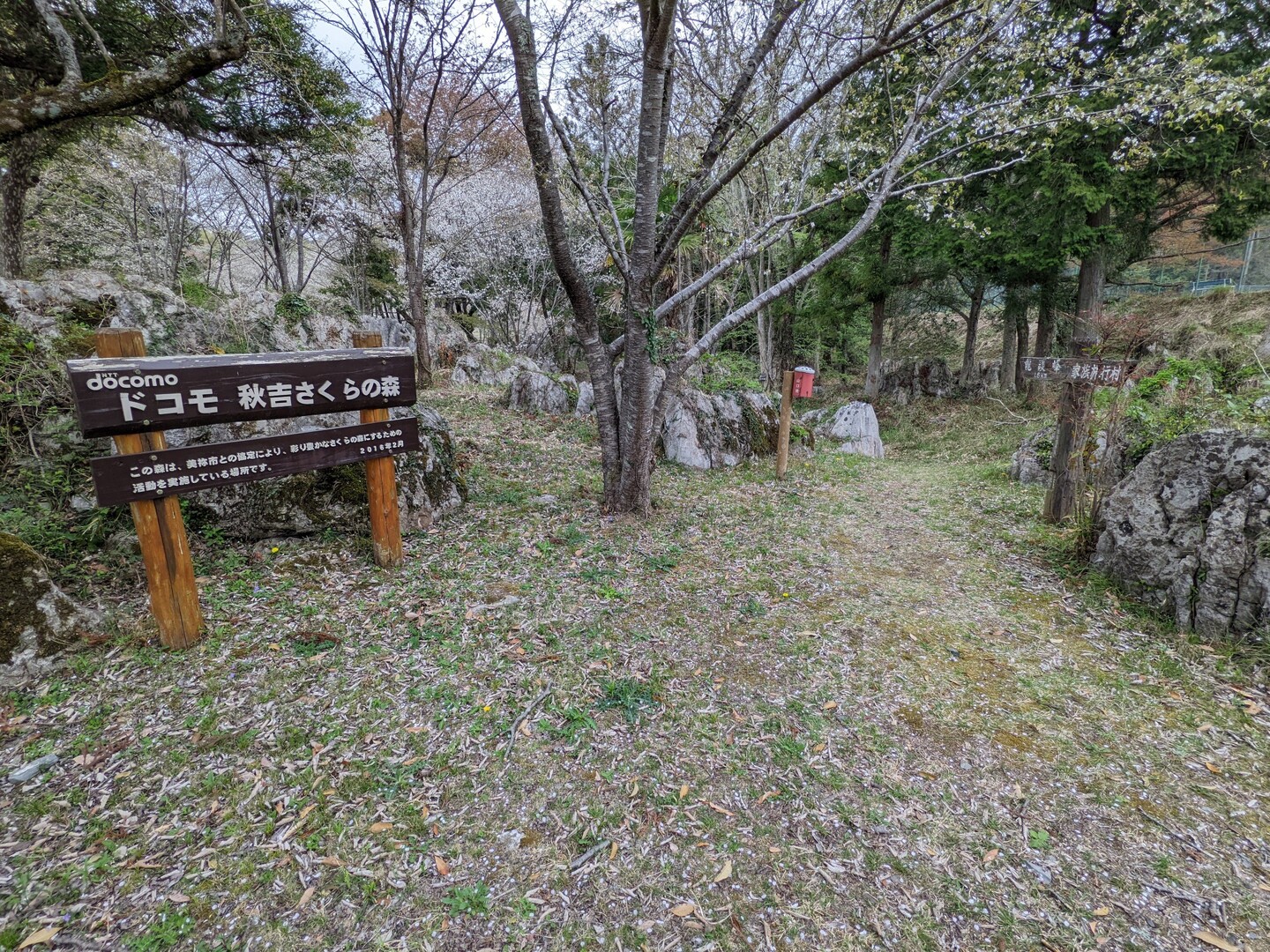 Stevenさんの投稿したフィールドメモ | YAMAP / ヤマップ