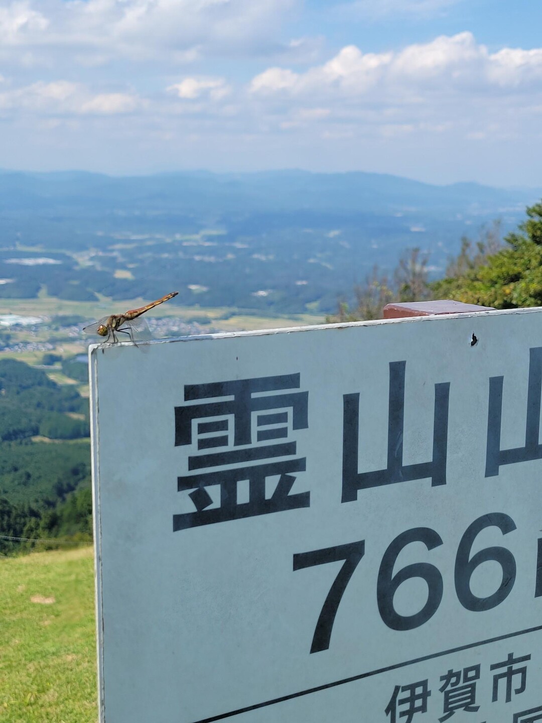 霊山に行こう / baseさんの霊山・西教山の活動データ | YAMAP / ヤマップ