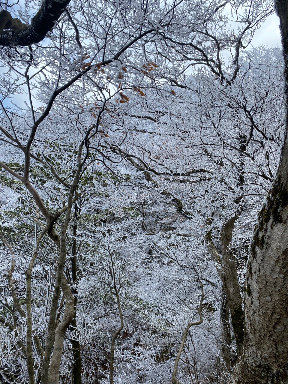 kazのページ | YAMAP / ヤマップ