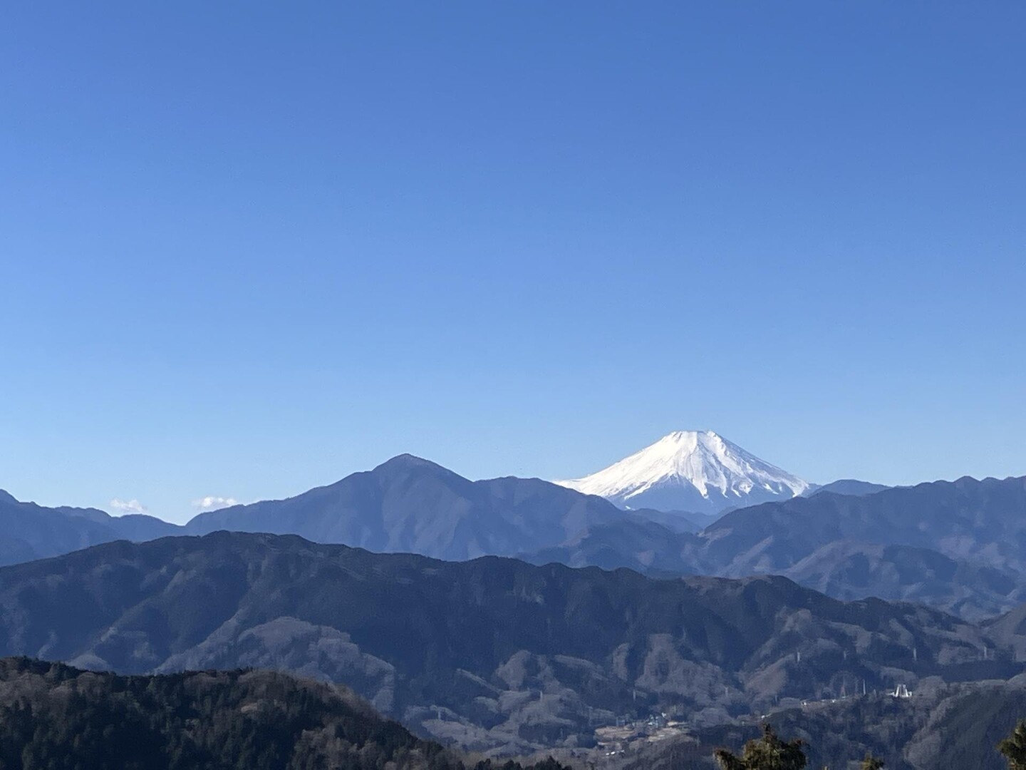 高尾山、稲荷山〜薬王院〜1号路 / JunJunさんの高尾山・陣馬山・景信山の活動データ | YAMAP / ヤマップ
