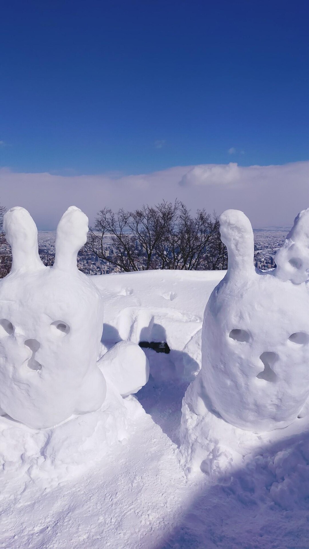 リハビリハイクも不調😵、 ️藻岩山 / luckyさんの藻岩山の活動データ | YAMAP / ヤマップ