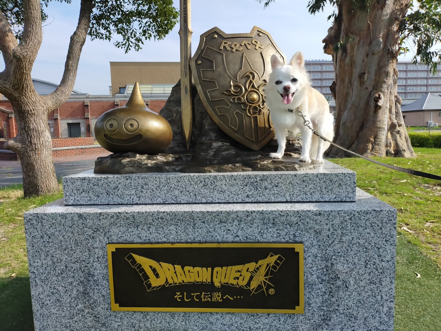 2020年8月の冒険 13歳10ヶ月 / 🐶紫苑君ママ🐕🐾さんのモーメント | YAMAP / ヤマップ