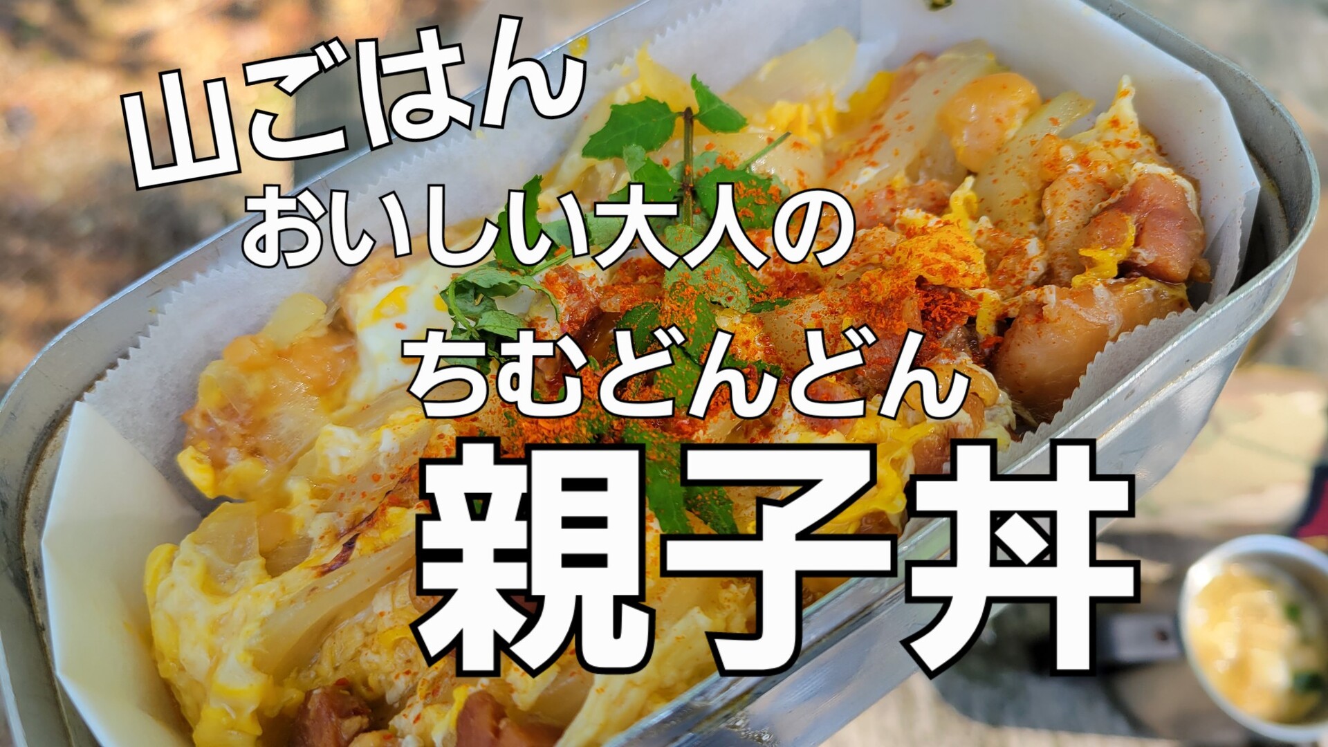 本日は、登山動画と、山ごはん別撮りで、お... / NOMさんのモーメント | YAMAP / ヤマップ
