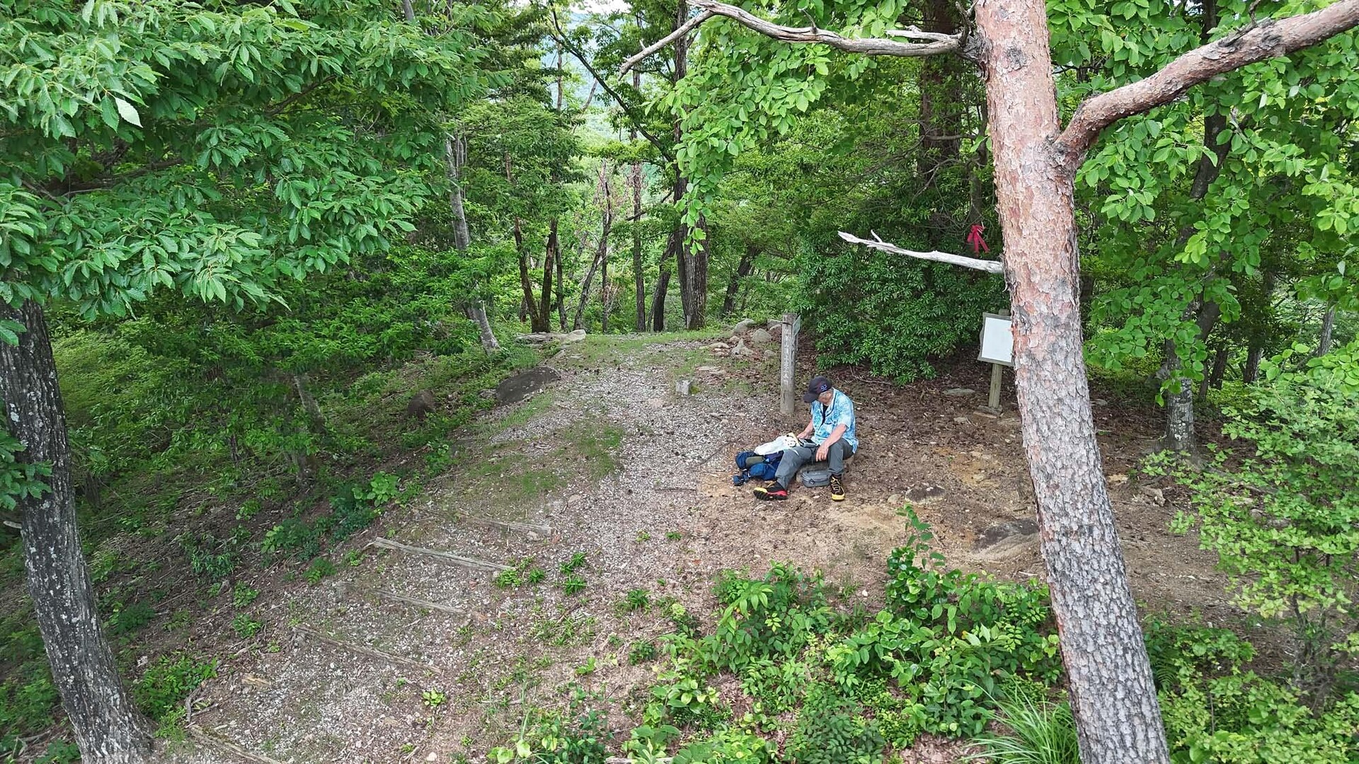 鷹巣山 / Oysterさんの鷹巣山の活動データ | YAMAP / ヤマップ