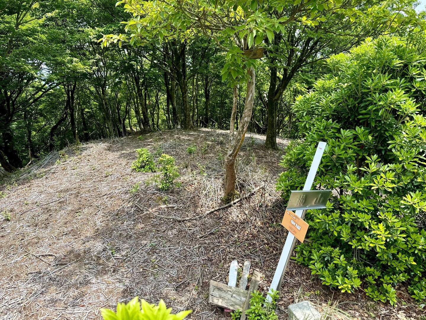 横山 / MTCさんの登山の活動データ | YAMAP / ヤマップ