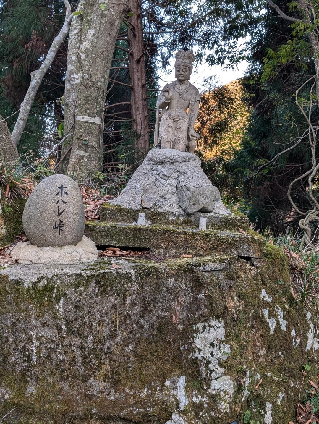 湧谷山・蕎麦粒山・五蛇池山-2024-11-10 / ge-ha-3さんの湧谷山・蕎麦粒山・五蛇池山の活動データ | YAMAP / ヤマップ