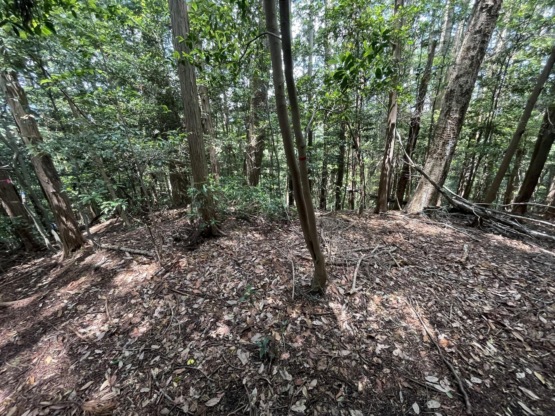 tsk-chaponさんの投稿したフィールドメモ | YAMAP / ヤマップ