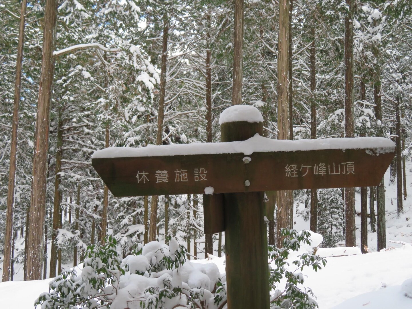 経ヶ峰(笹子谷コース) / Hustlerさんの経ヶ峰の活動データ | YAMAP / ヤマップ