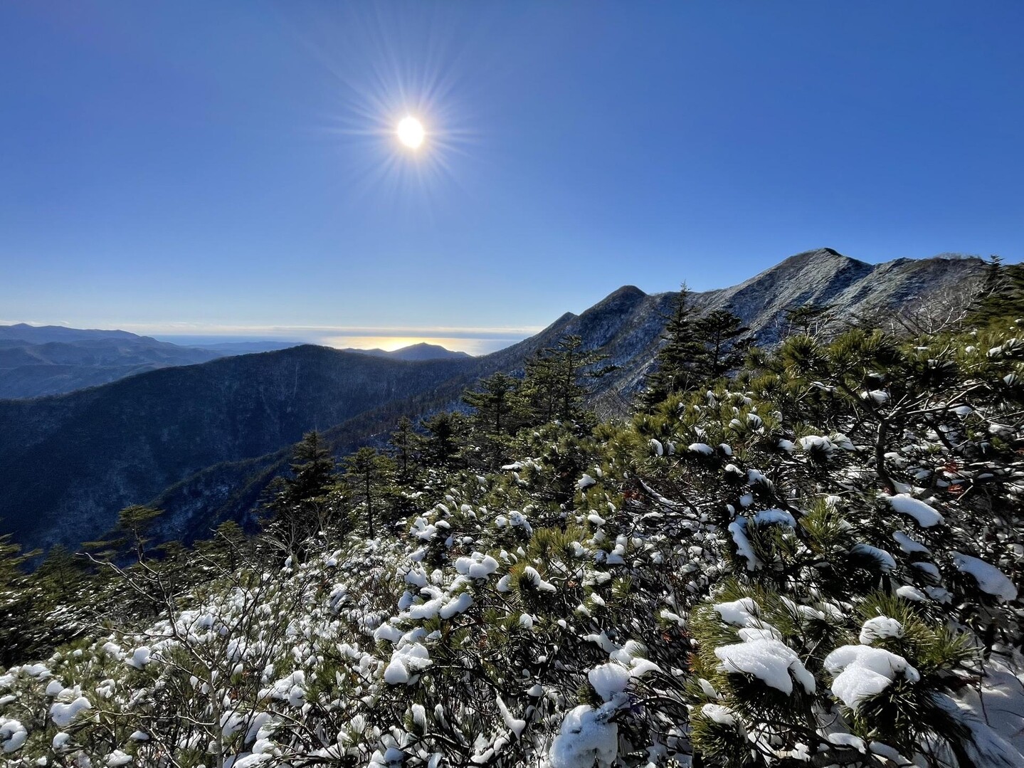憧れのピンネシリ⛰️吉田岳⛰️アポイ岳⛰️縦走 / rucolaさんの楽古岳の活動データ | YAMAP / ヤマップ