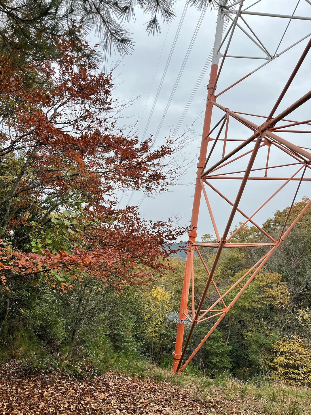 釈迦岳・ポンポン山 / SUDO SHUNさんのポンポン山・釈迦岳・小塩山・若山の活動データ | YAMAP / ヤマップ