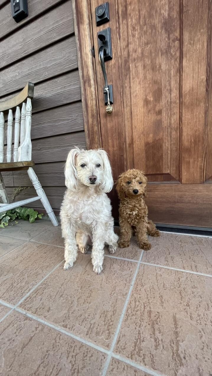 NNのページ | YAMAP / ヤマップ