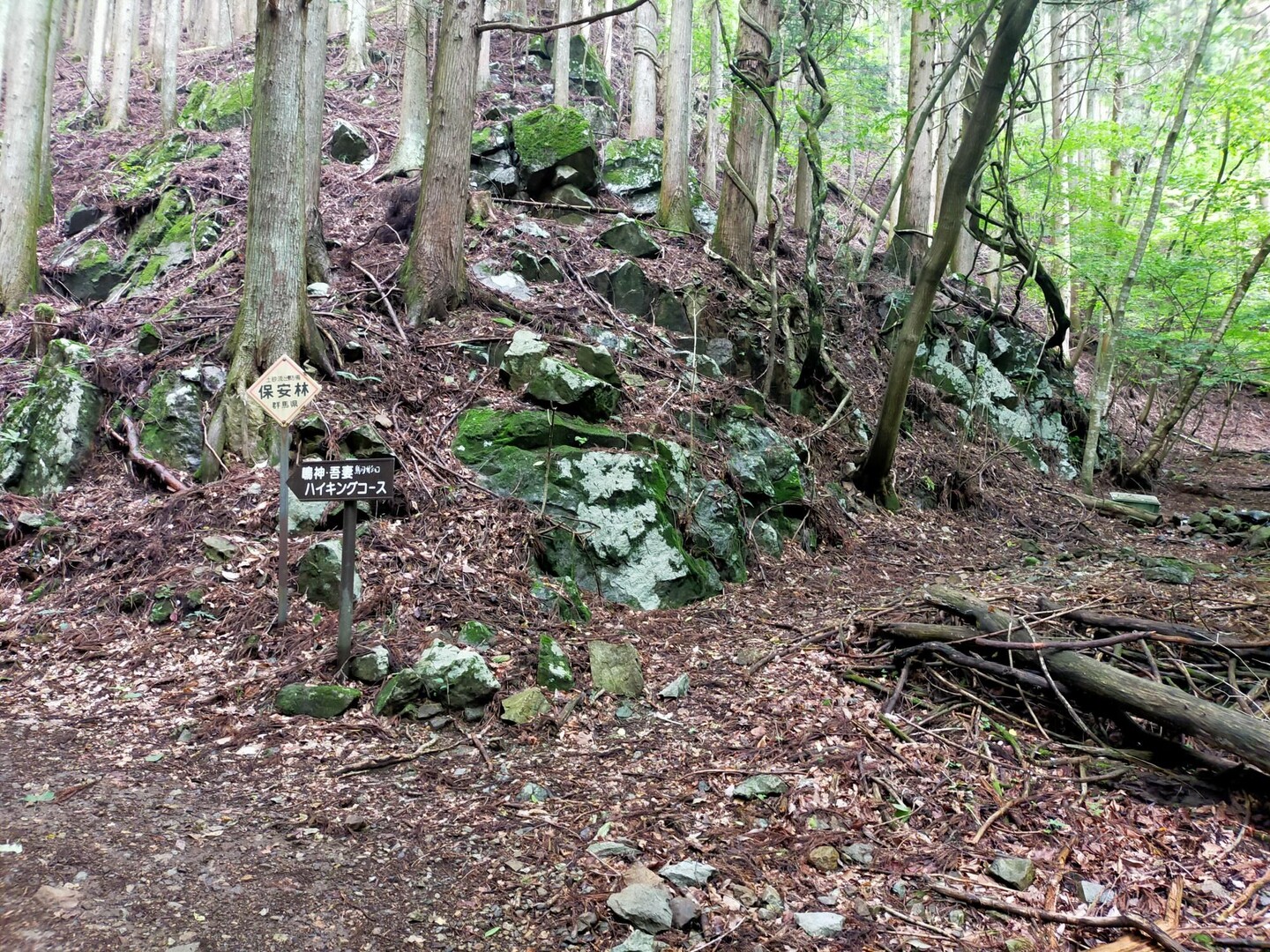 sayuさんの投稿したフィールドメモ | YAMAP / ヤマップ