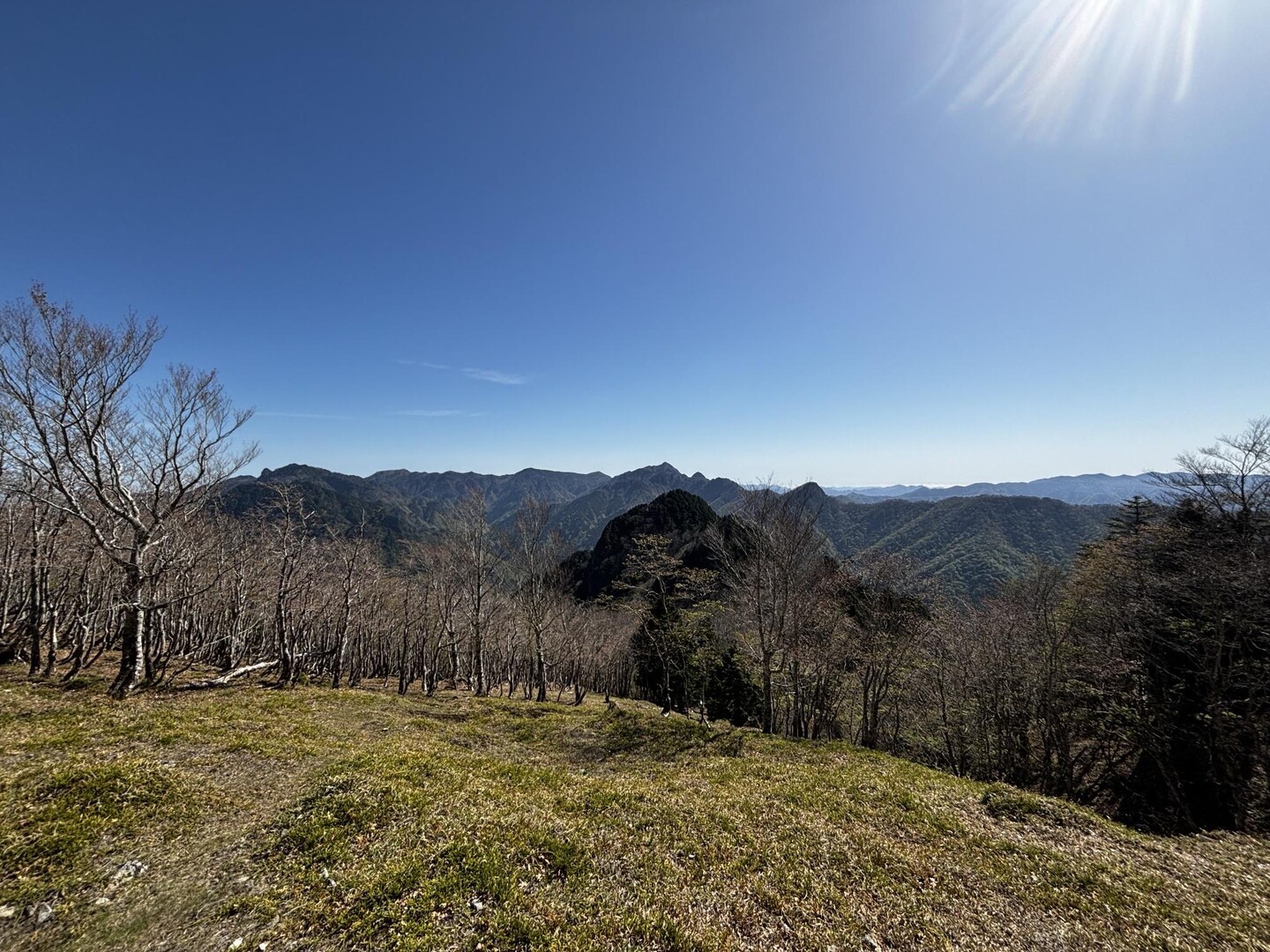 maaasanさんの投稿したフィールドメモ | YAMAP / ヤマップ