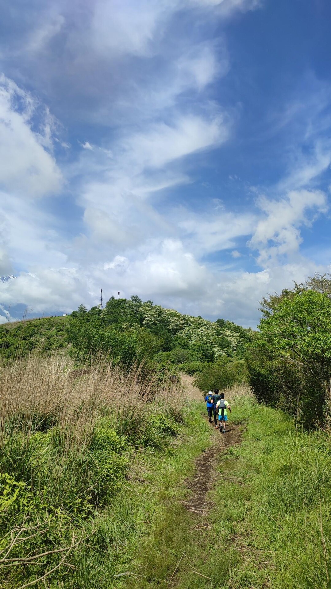 第14回富士忍野高原トレイルレース ミドル21.6km / kojipさんの御正体山・杓子山・石割山の活動日記 | YAMAP / ヤマップ