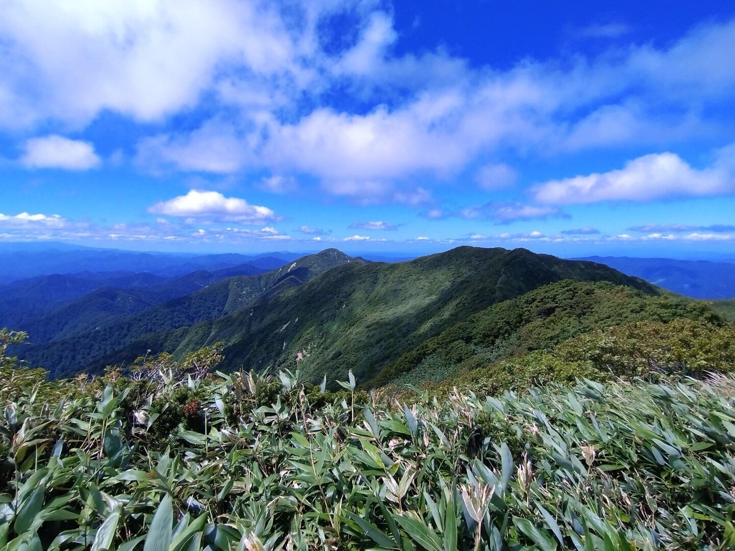 神室山 / moneさんの神室山・天狗森・火打岳の活動データ | YAMAP / ヤマップ