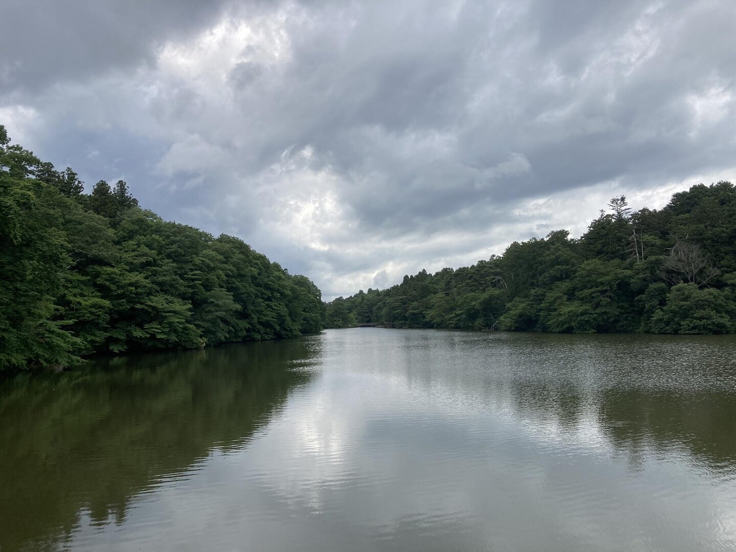 こんにちは^ ^ 今日はねずみ色の雲が... / OBsunさんのモーメント | YAMAP / ヤマップ