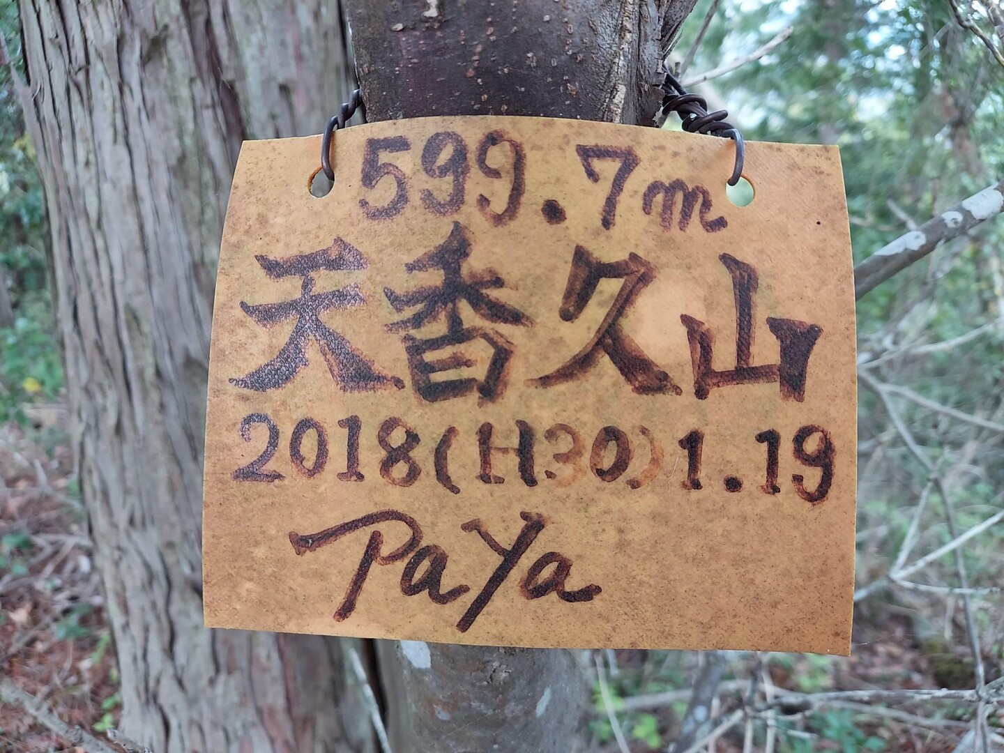 高千穂町 天香山／天香久山 / derainandreさんの高千穂町の活動データ | YAMAP / ヤマップ