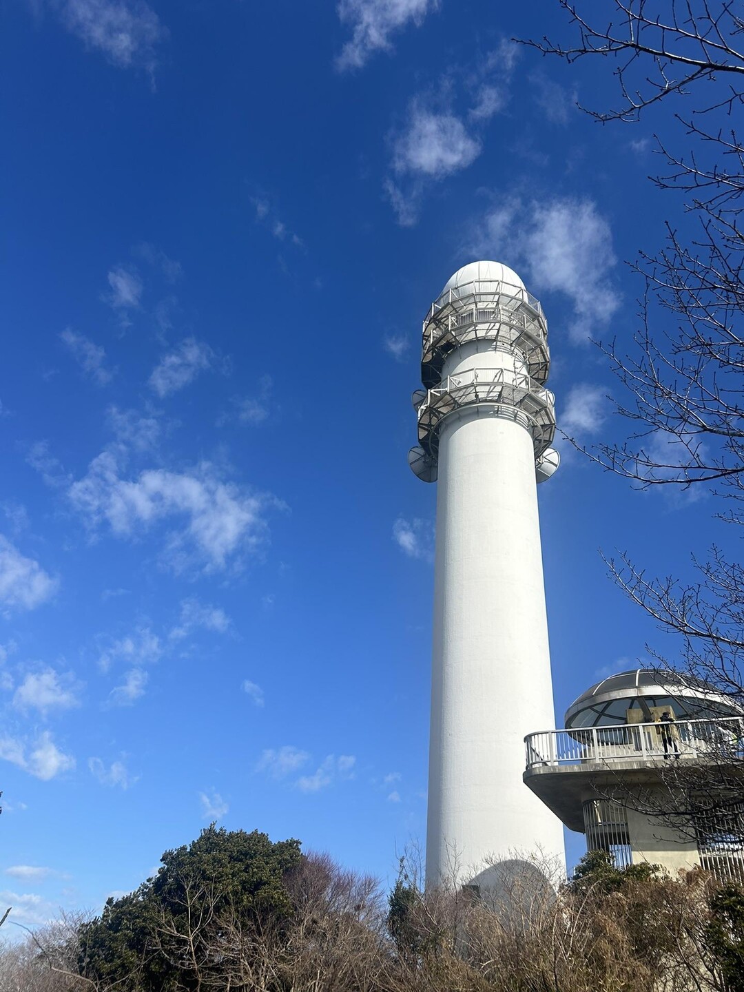 大楠山・衣笠山 / ritocotoさんの大楠山・武山・三浦富士の活動データ | YAMAP / ヤマップ