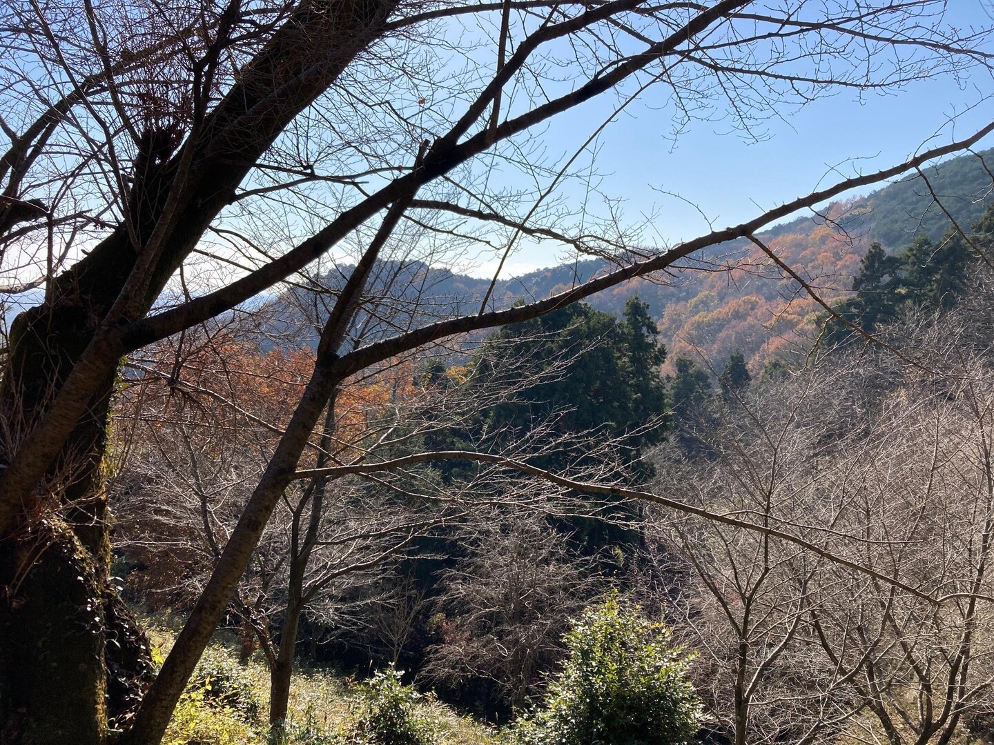 taoさんの投稿したフィールドメモ | YAMAP / ヤマップ